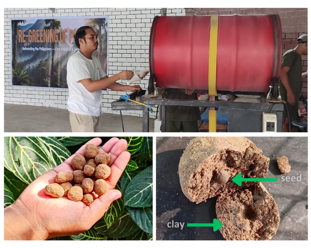 Scaling up reforestation: How the Philippines can turn trees into ...